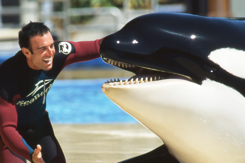 10 Fascinating Documentaries to Stream on Peacock | Peacock Blog